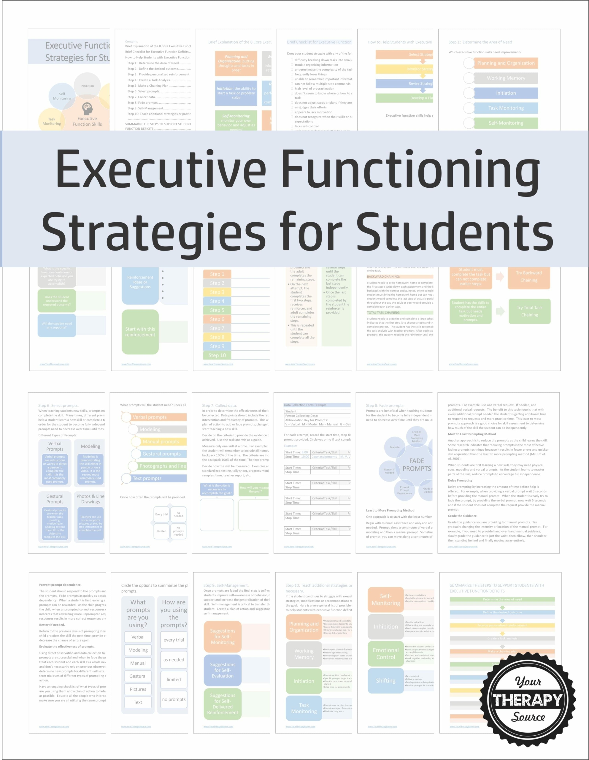Executive Functioning Strategies for Students - Your Therapy Source
