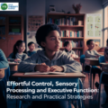 Effortful Control, Sensory Processing, and Executive Function: Research ...