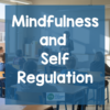 Mindfulness and Self Regulation - Your Therapy Source