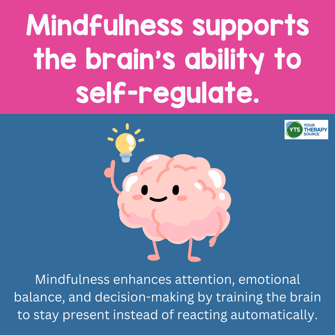 Mindfulness and Self Regulation - Your Therapy Source