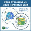 Visual Processing and Visual Perceptual Skills: What’s the Difference ...