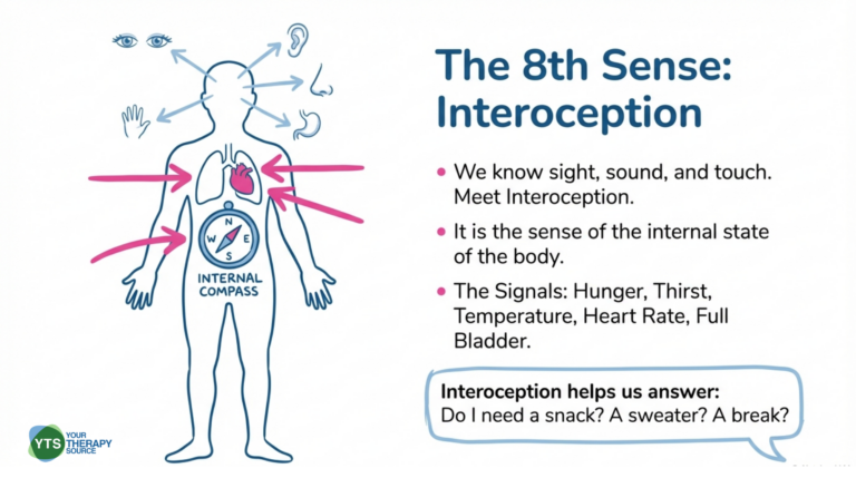 15 Interoception Activities to Build Body Awareness in Kids - Your ...