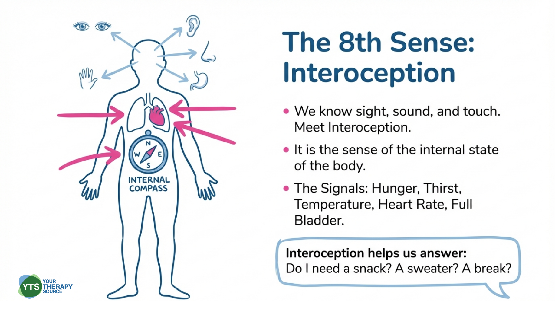 15 Interoception Activities to Build Body Awareness in Kids - Your ...